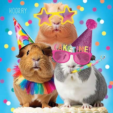 Hooray Cake Time Birthday Card — Red Fox Party Supplies