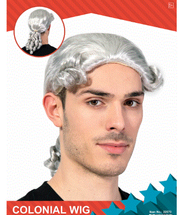 Colonial/Judges Wig — Red Fox Party Supplies