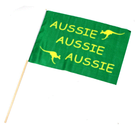 Green Aussie Hand Flag — Red Fox Party Supplies