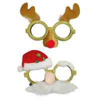 Novelty Christmas Glasses — Red Fox Party Supplies