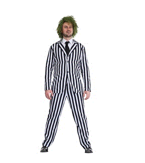 Beetle Time Adult Costume - Extra Large — Red Fox Party Supplies