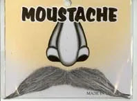 Grey Stalin Moustache — Red Fox Party Supplies